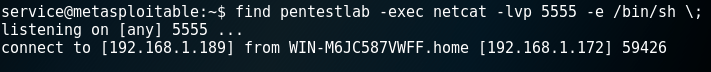 SUID Executables – Penetration Testing Lab